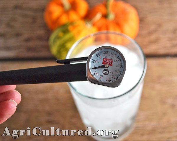Can You Calibrate Analog Meat Thermometer: Easy Steps Revealed ...