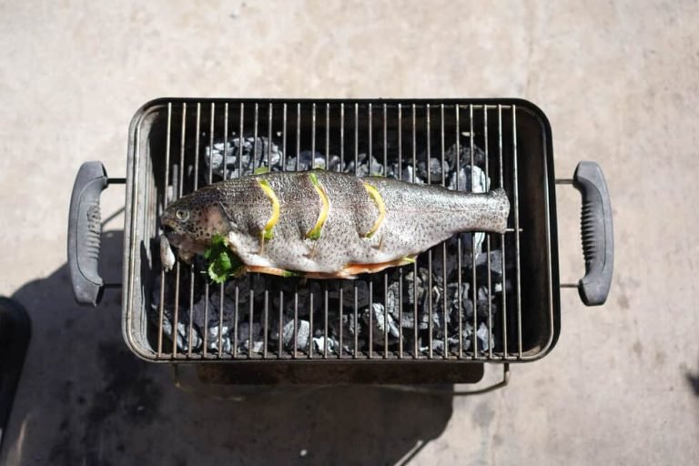 How to Grill Fish on Gas Grill: Easy Tips for Perfect Flavor - KitchenAbly