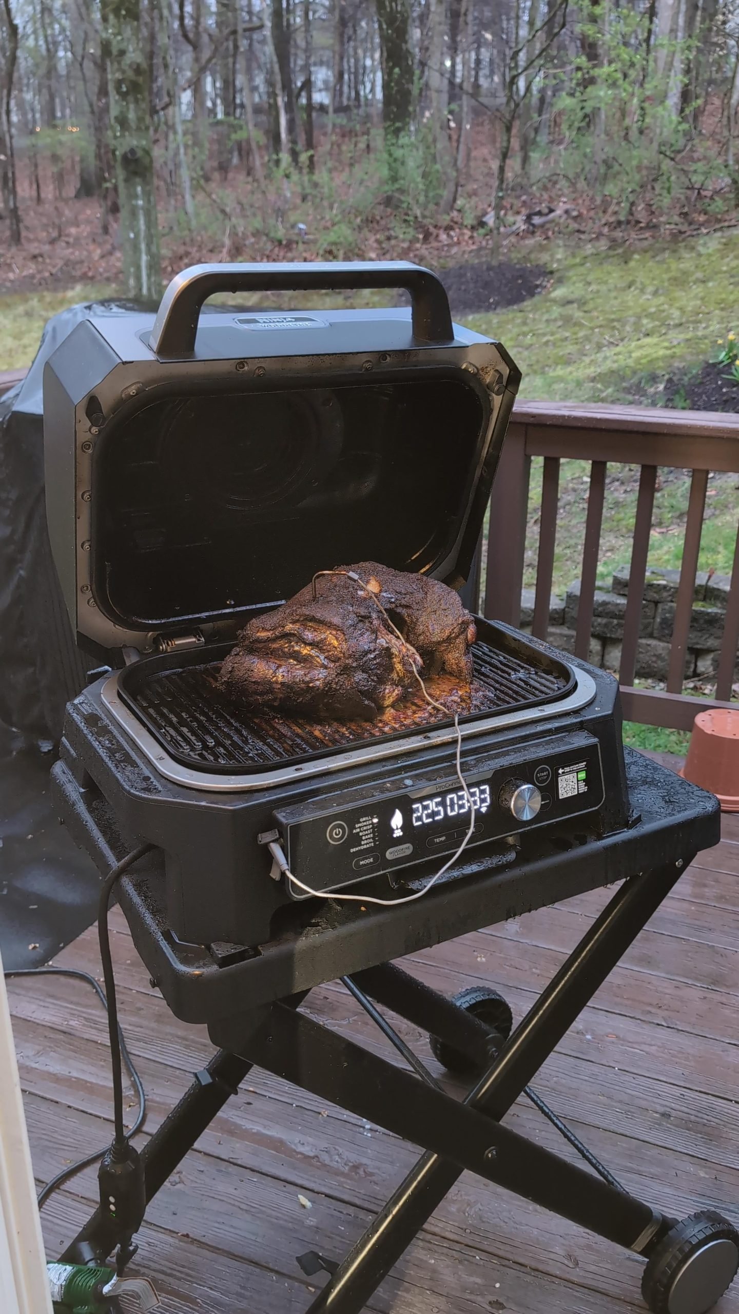 How to Use Charcoal Grill in Apartment: Expert Tips - KitchenAbly