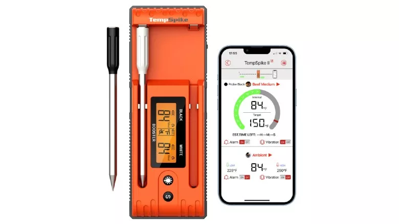 Why Use a Smart Probe Thermometer: Ultimate Precision & Convenience ...